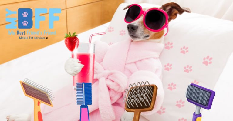Top 10 Techniques for Brushing Your Dog’s Coat Between Professional ...